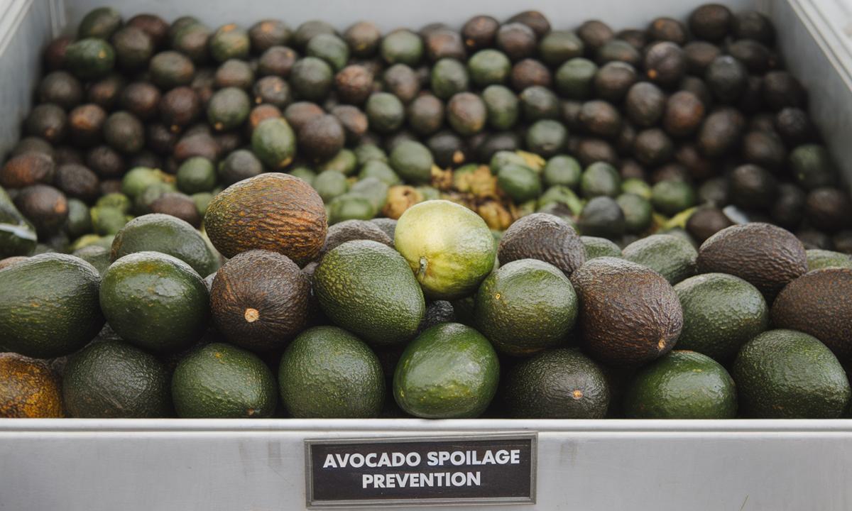 Magazine Blog and Articles - Crazy Drawings